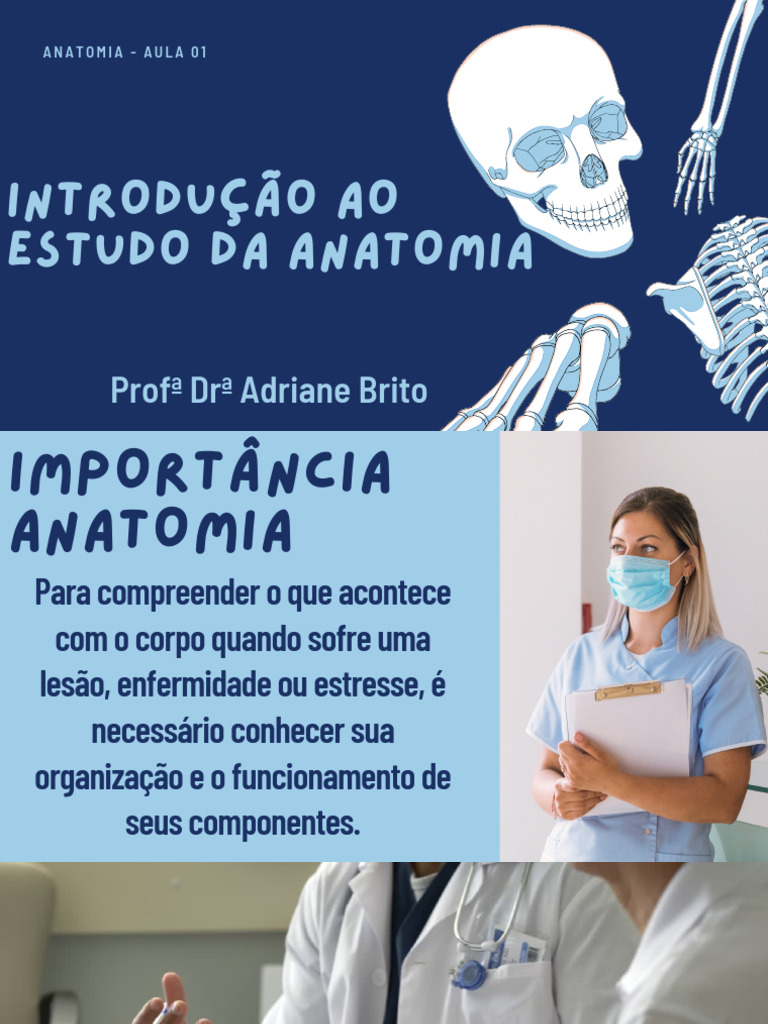 Aula Anatomia Introdução Pdf