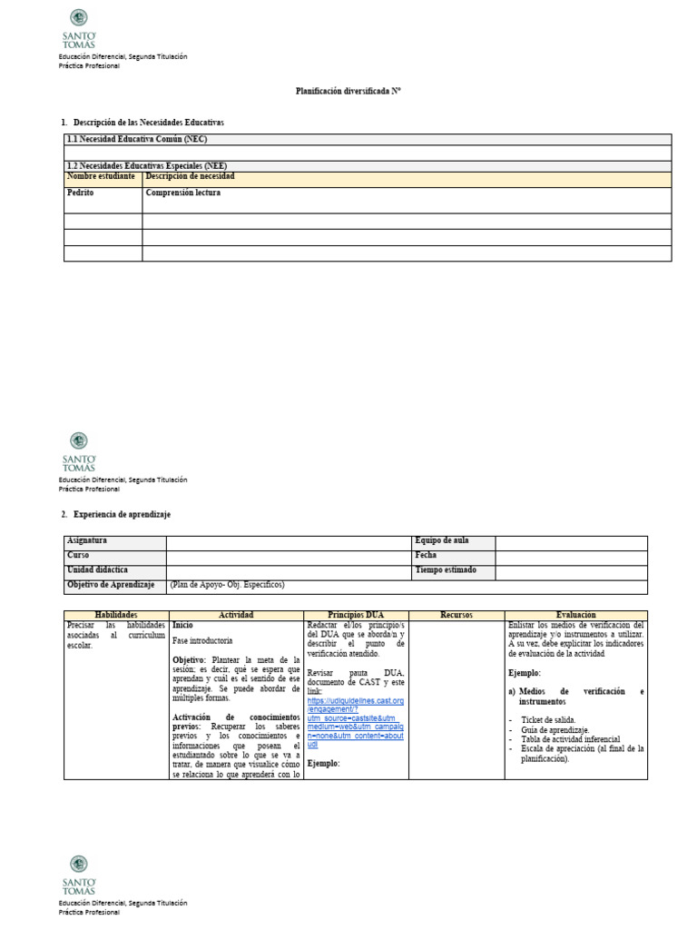 FORMATO DE EXPERIENCIA DE APRENDIZAJE | PDF | Evaluación | Educación especial