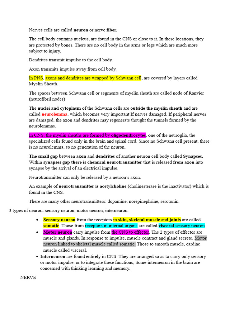 Nervous System | Download Free PDF | Axon | Neuron