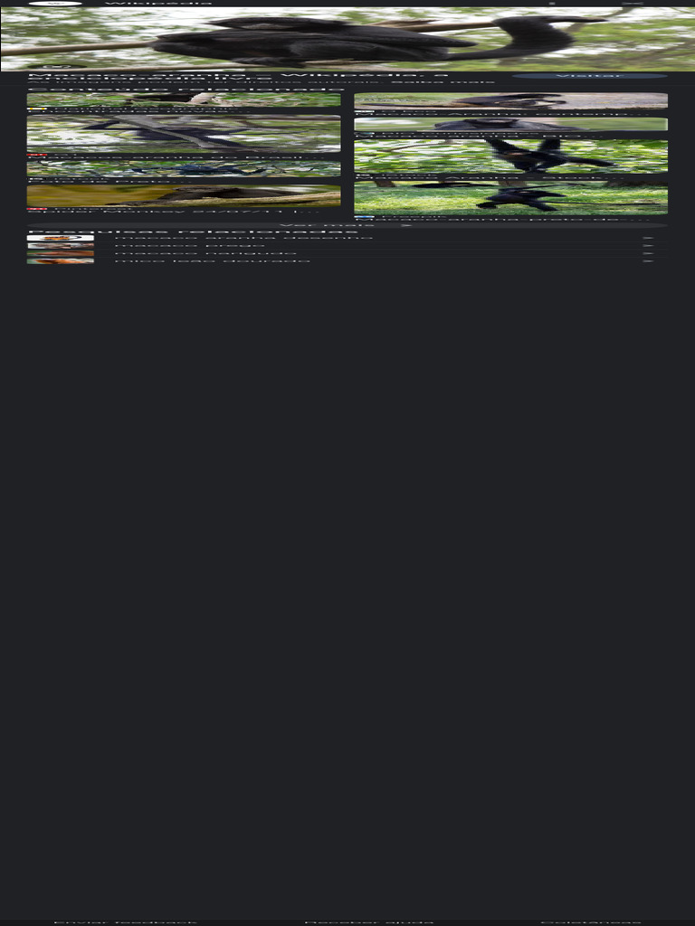 Macaco Aranha - Pesquisa Google | PDF