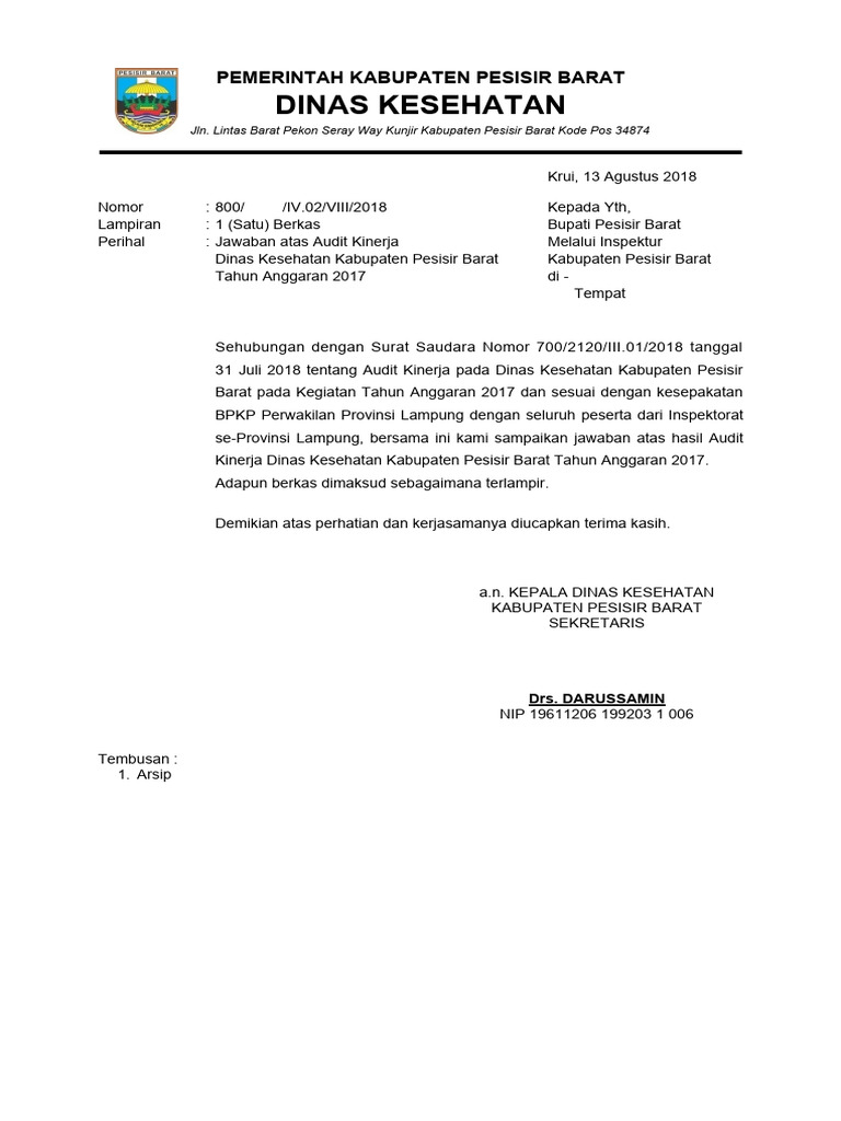 Surat Temuan Audit Kinerja | PDF