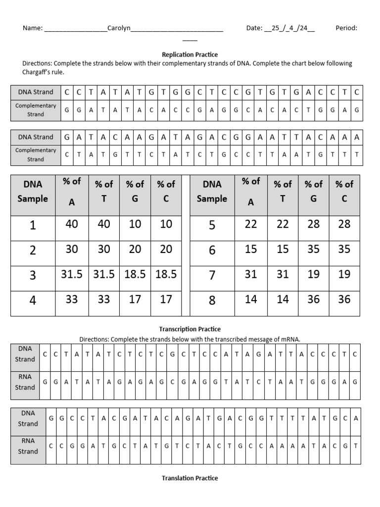 Genetic_Code_Worksheet | PDF | Translation (Biology) | Nucleic Acid Sequence