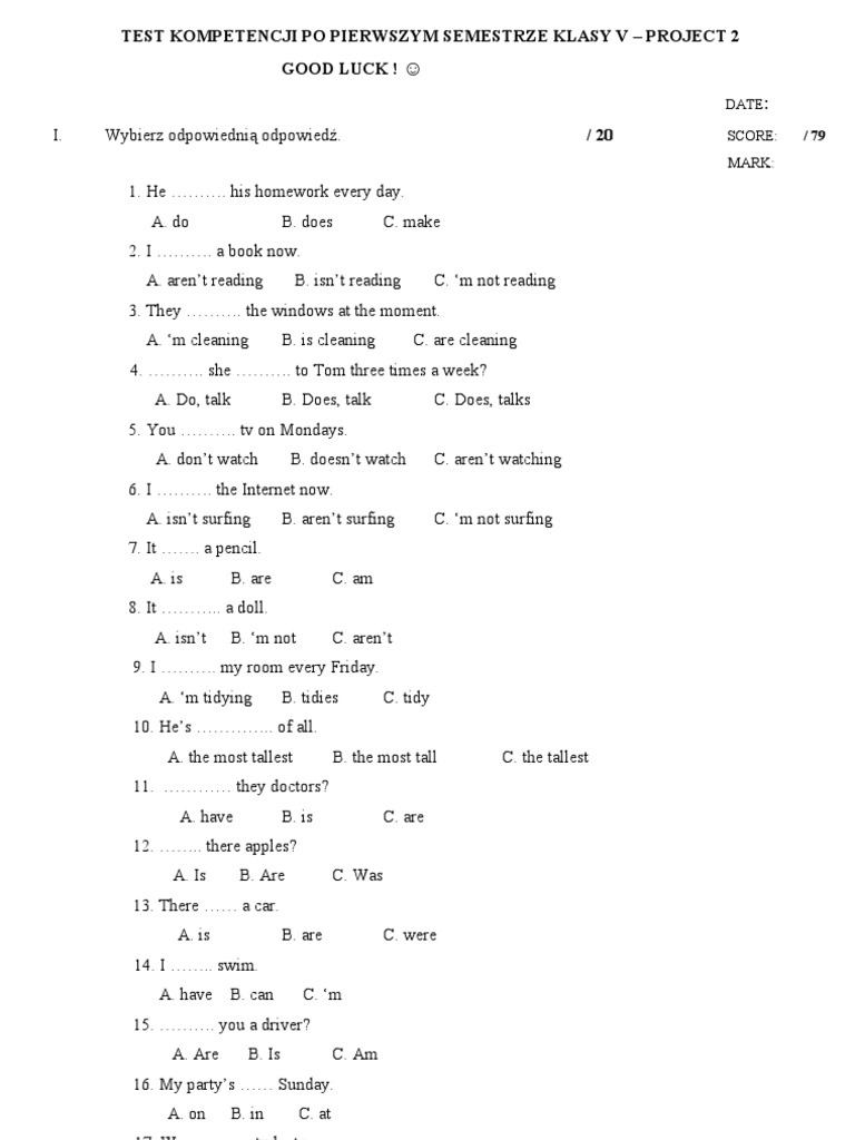 Project 2 - Test, Kl. V, Sem. I | PDF