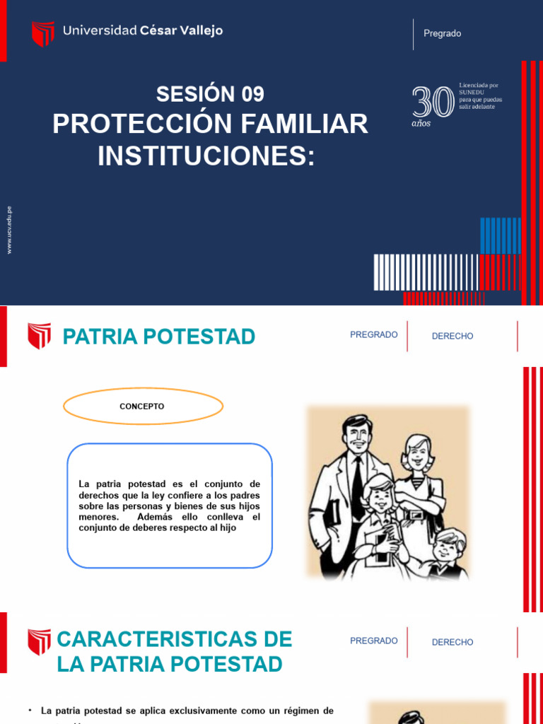 Patria Potestad | PDF | Derechos | Justicia