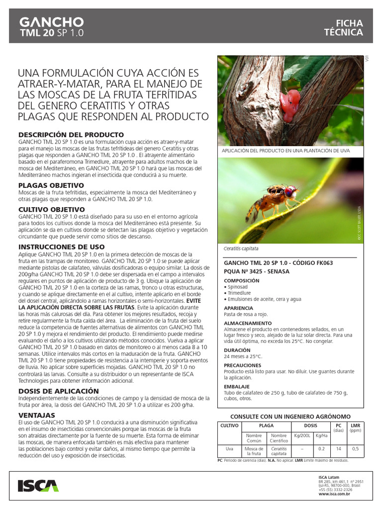 FT GANCHO TML 20 SP 1.0 - TDS - Es - V01 - Rev1 | PDF