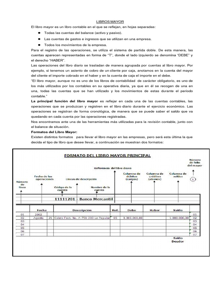 Guía del Libro Mayor Contable | PDF | Finanzas y dinero