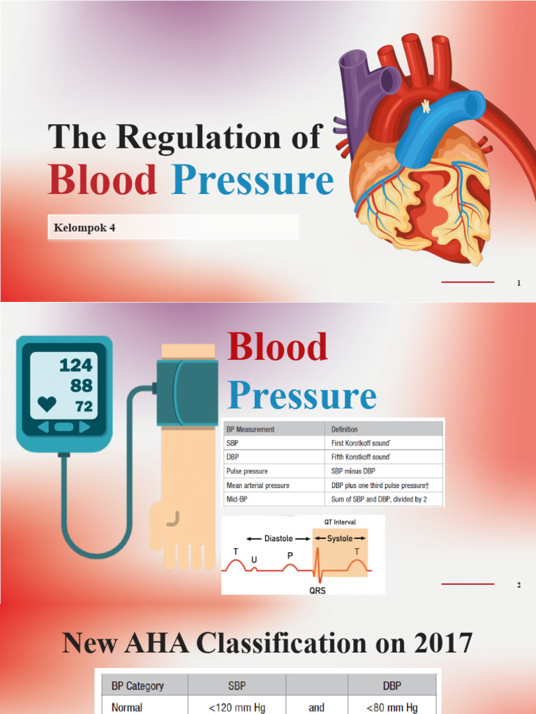 Blood Pressure Regulation | Download Free PDF | Cardiovascular System ...