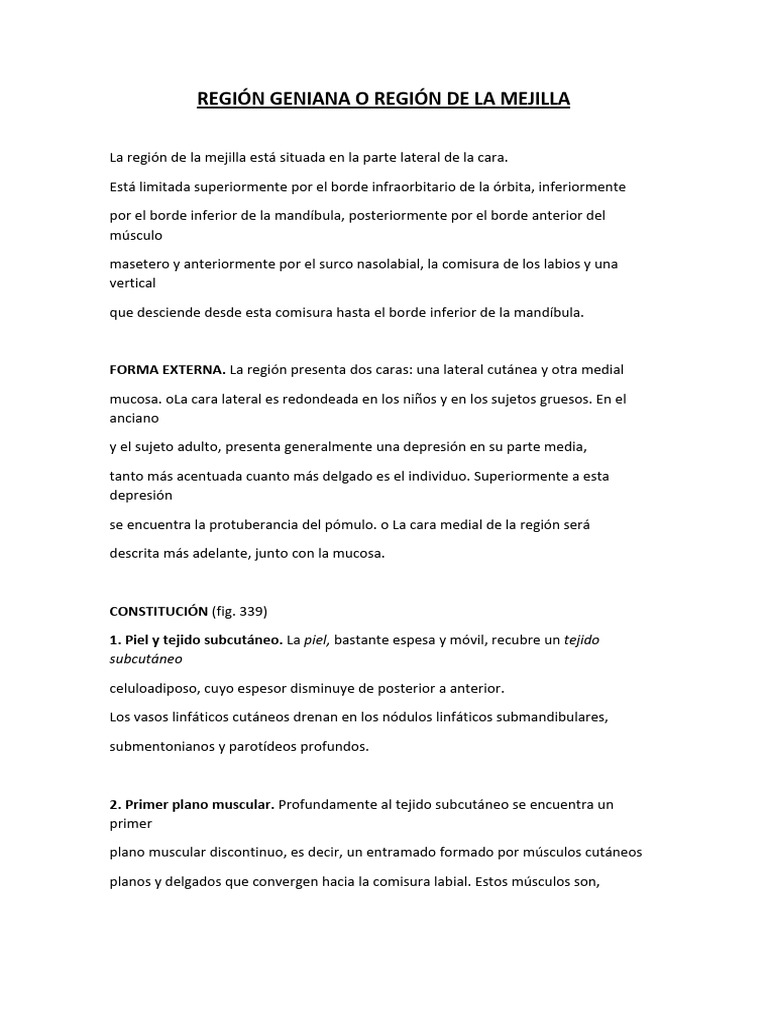 Anatomía de la Región de la Mejilla | PDF | Anatomía | Anatomía humana