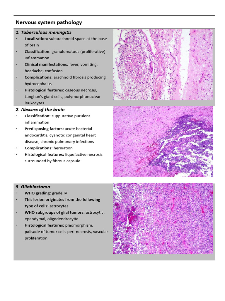 P6 Practical Compilation | PDF | Lymphoma | Lymphatic System