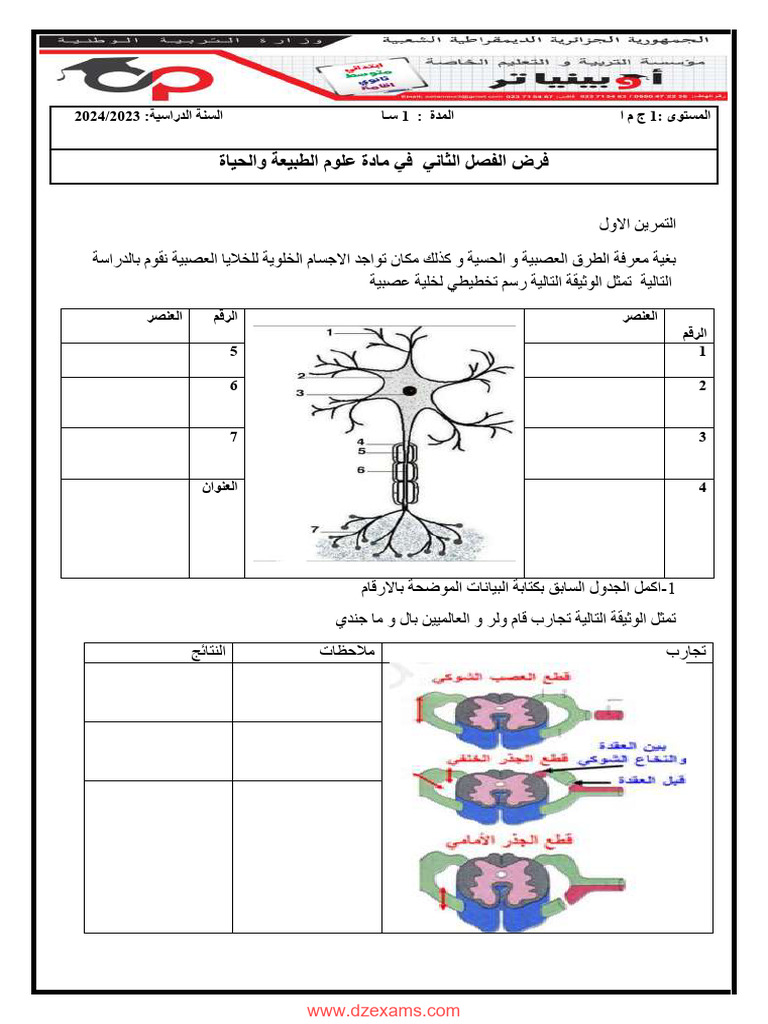 Dzexams 1as Sciences Naturelles 282157 | PDF