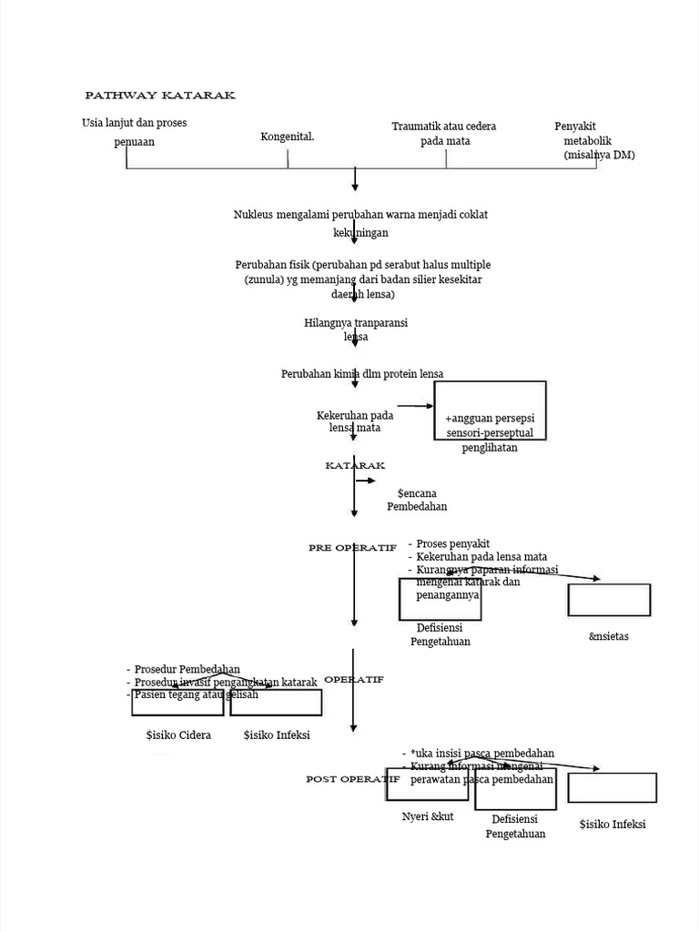 pdf-pathway-katarak-baru_compress | PDF