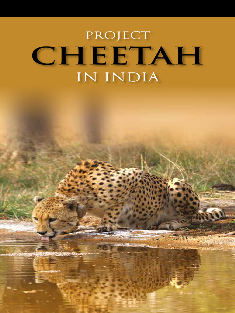 Cheetah Narrow Booklet 6x11 Lowre | PDF | Conservation Biology ...