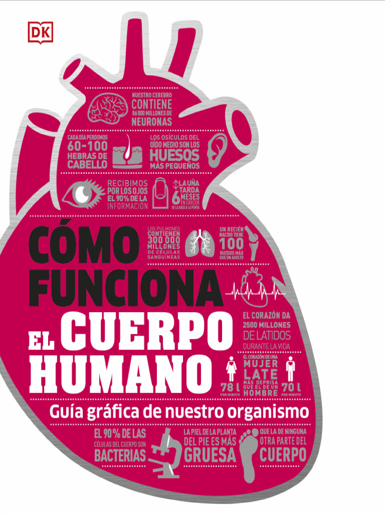 Cómo Funciona El Cuerpo Humano - Guía Gráfica de Nuestro Organismo-DK (2018) | Descargar gratis ...