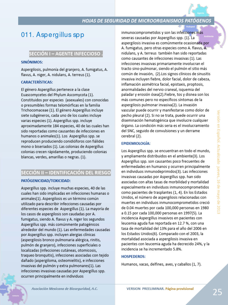 Aspergillus SPP | PDF | Infección | Alergia