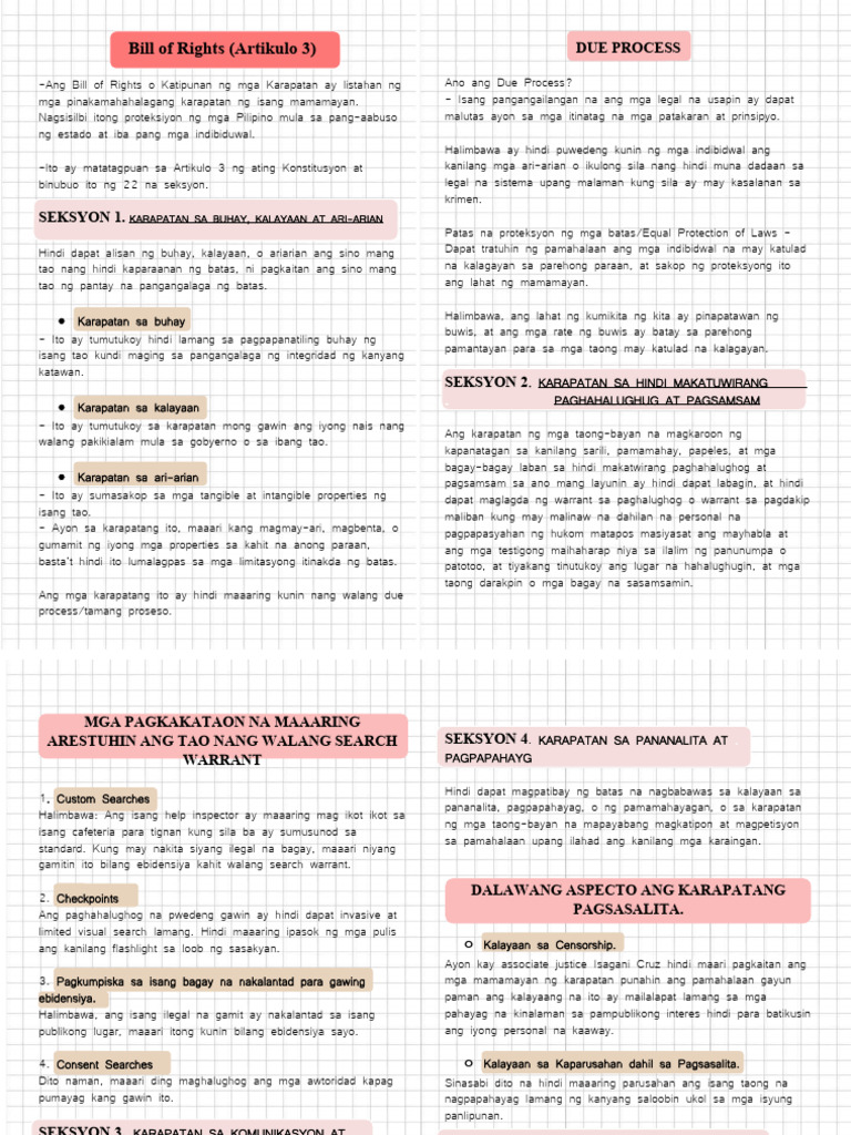 Bill of Rights (1-7) | PDF