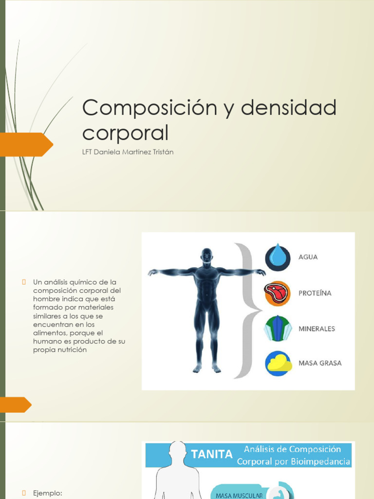 Composición y Densidad Corporal | PDF | Tejido adiposo | Obesidad