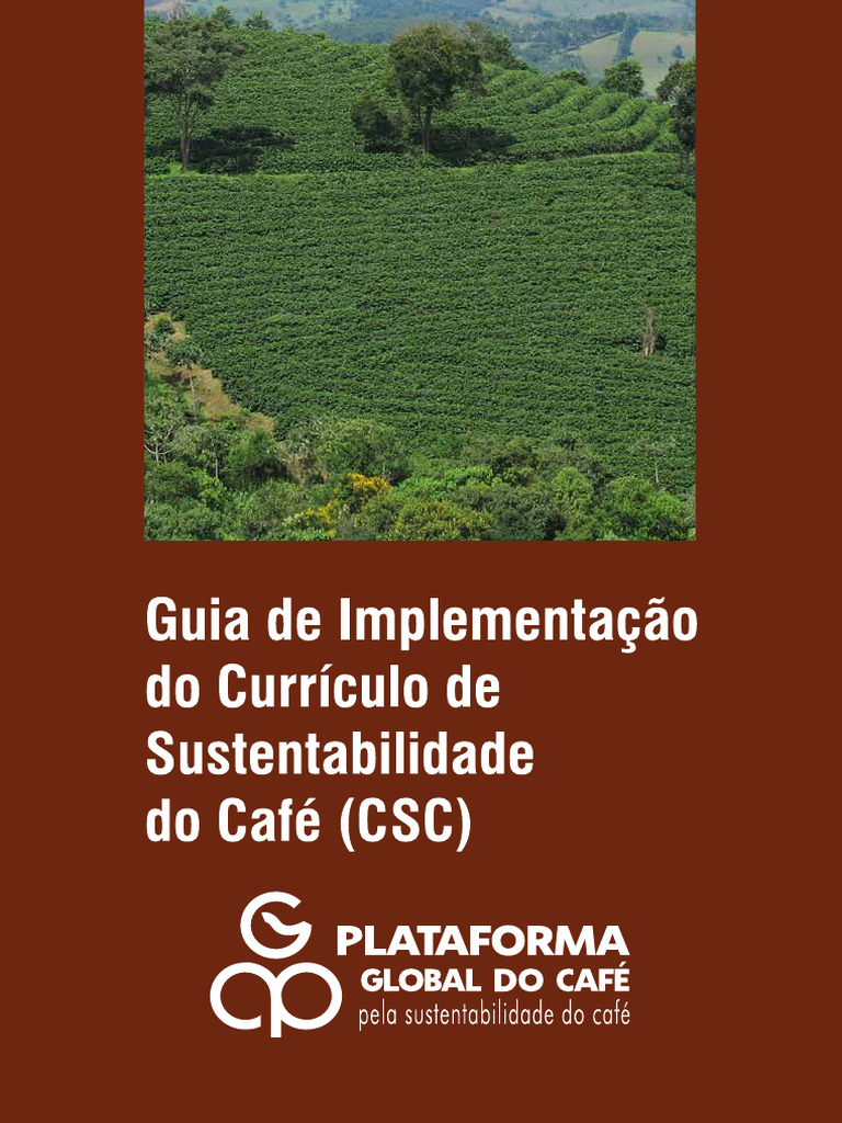 Guia de Implementação Do CSC | PDF