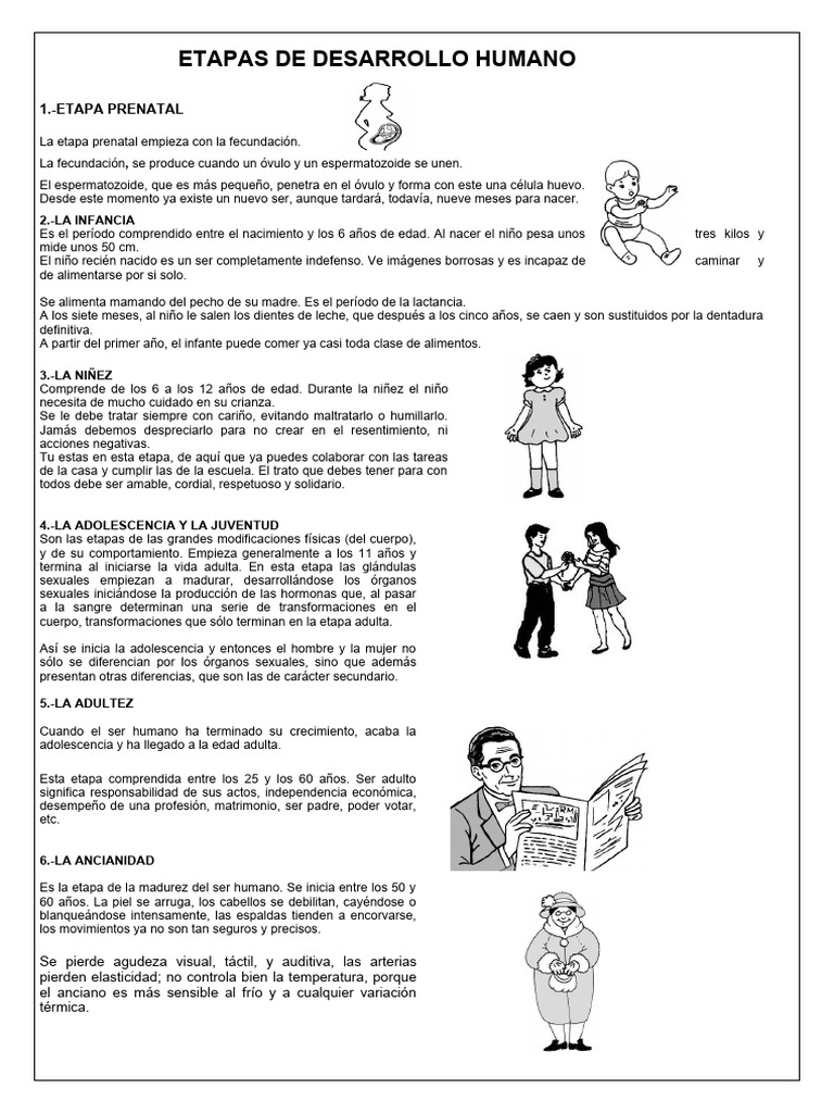 Etapas de Desarrollo Humano | PDF | Adultos | Adolescencia