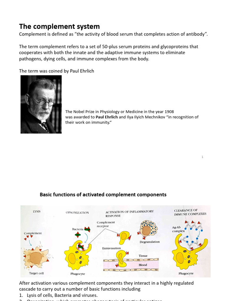 Complement System | PDF | Complement System | B Cell Complement System | PDF | Complement System | B Cell