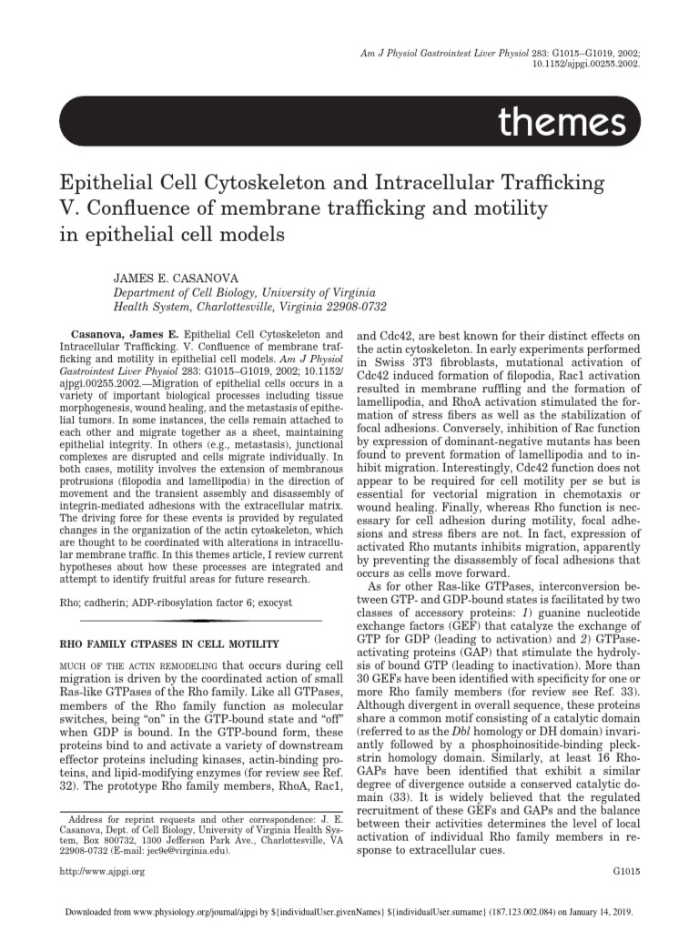 Casanova - 2002 - Epithelial Cell Cytoskeleton and Intracellular ...