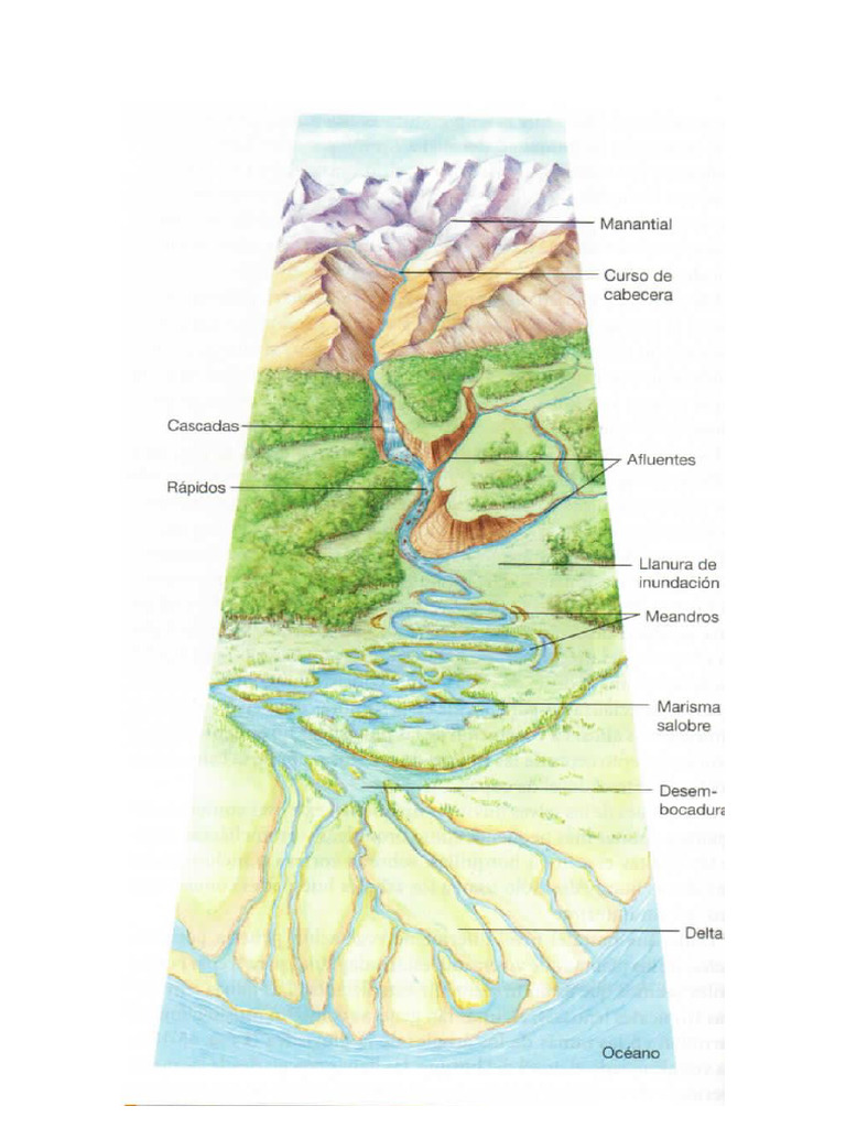 Caracteristicas de Un Río Típico | PDF