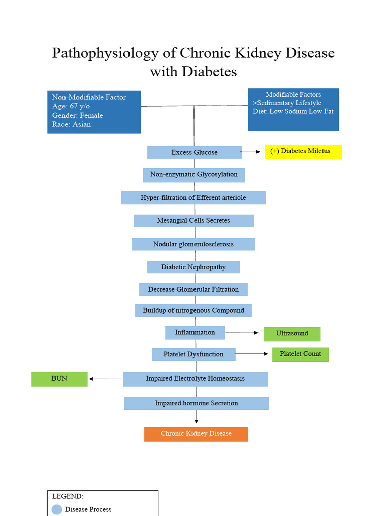 Pathophysiology of CKD | PDF