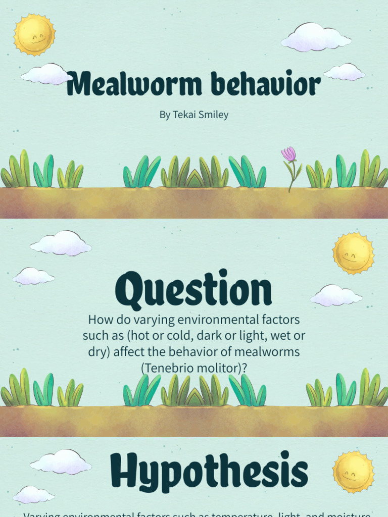 Worm Behavior | PDF | Temperature | Experiment