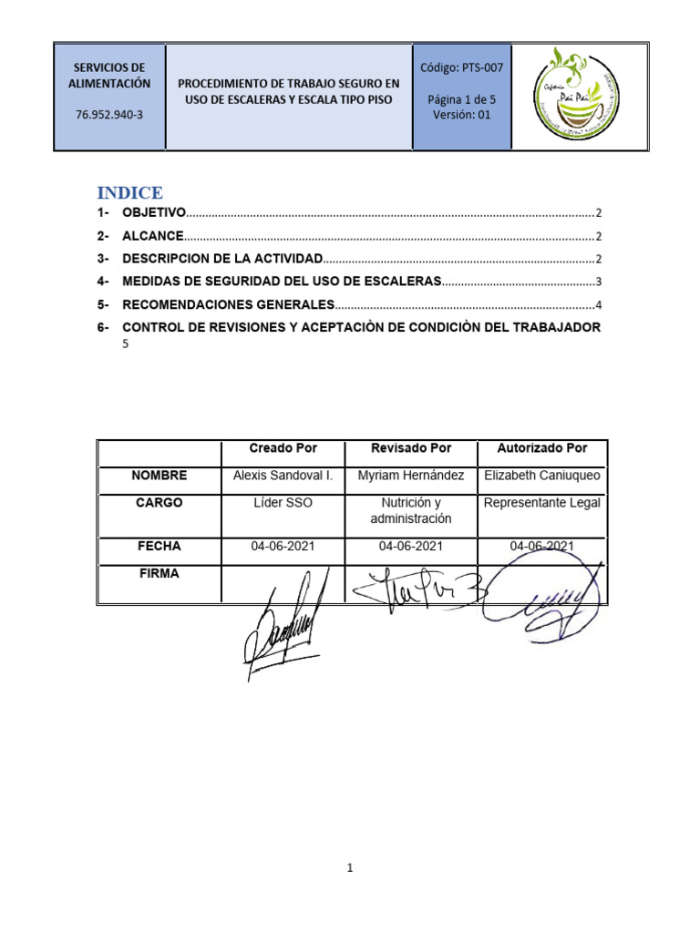 PTS-007 Uso de Escaleras | PDF | Escalera