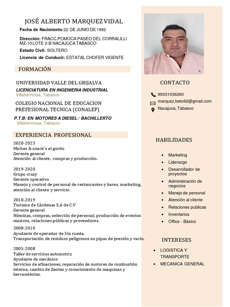 Perfil Profesional de José Alberto Márquez | PDF | Ingeniería | Business