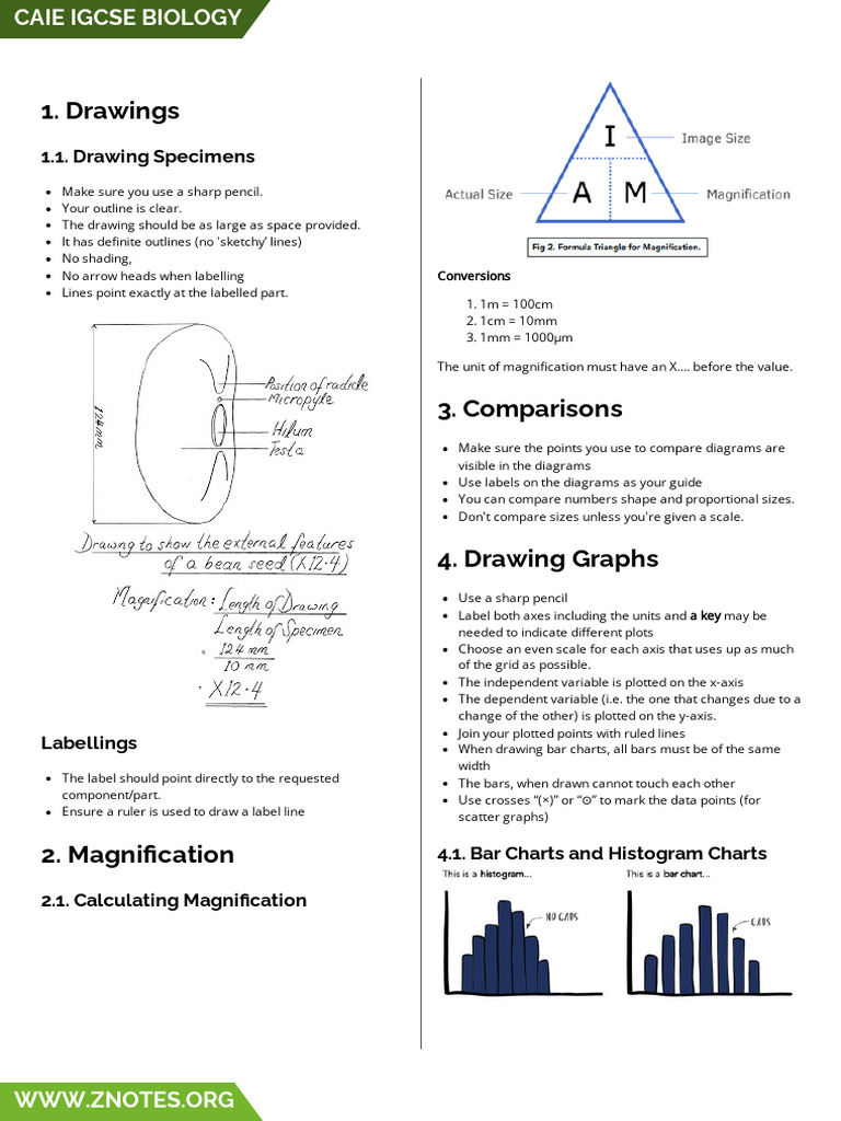 Bio Z Notes 2-2-6 | PDF | Photosynthesis | Water