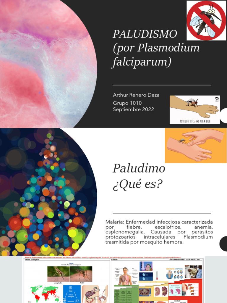 Guía Completa sobre Paludismo y Prevención | PDF | Malaria ...