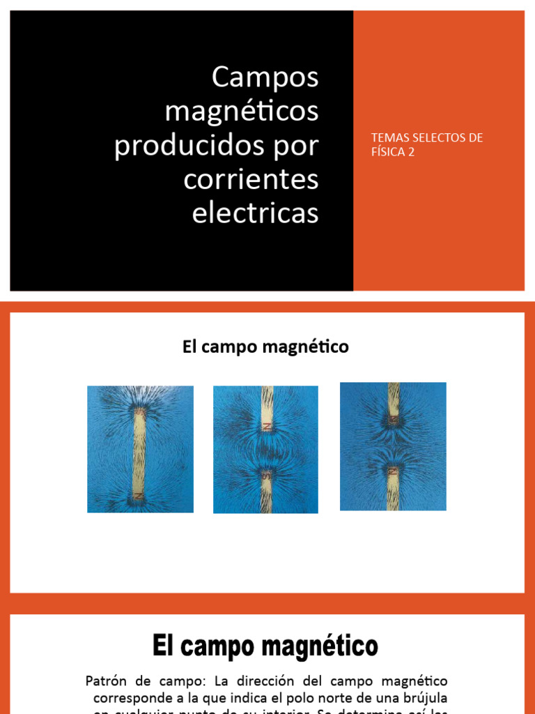 Tipos de Campos Magnéticos | PDF