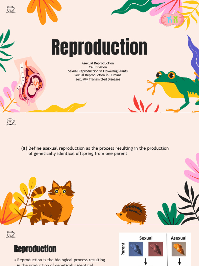 [Bio] Chapter 13 - Reproduction (OVERMUGGED) | PDF | Reproduction ...