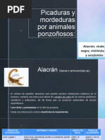 Guía sobre Alacranismo y su Tratamiento | PDF | Especialidades Medicas