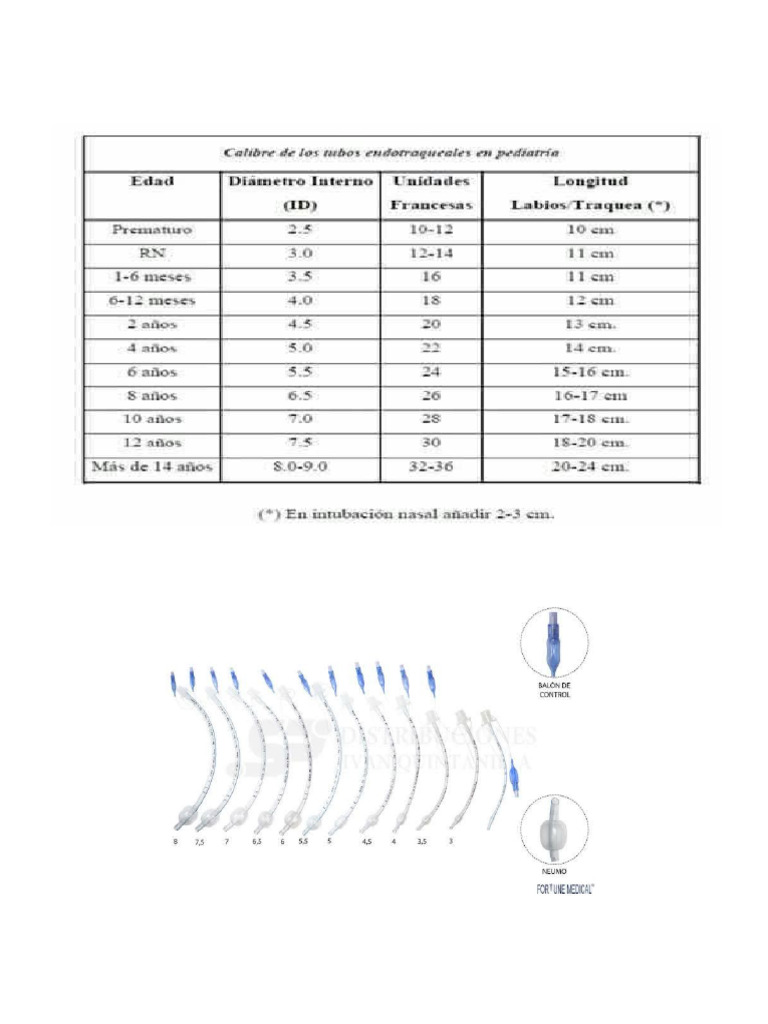 Tubo Endotraqueal Clasificaciones | PDF