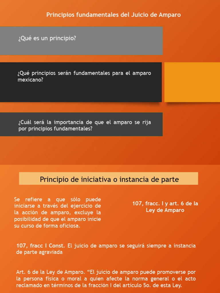 Principios Fundamentales Del Juicio de Amparo - Presentación PDF | PDF | Caso de ley | Violación