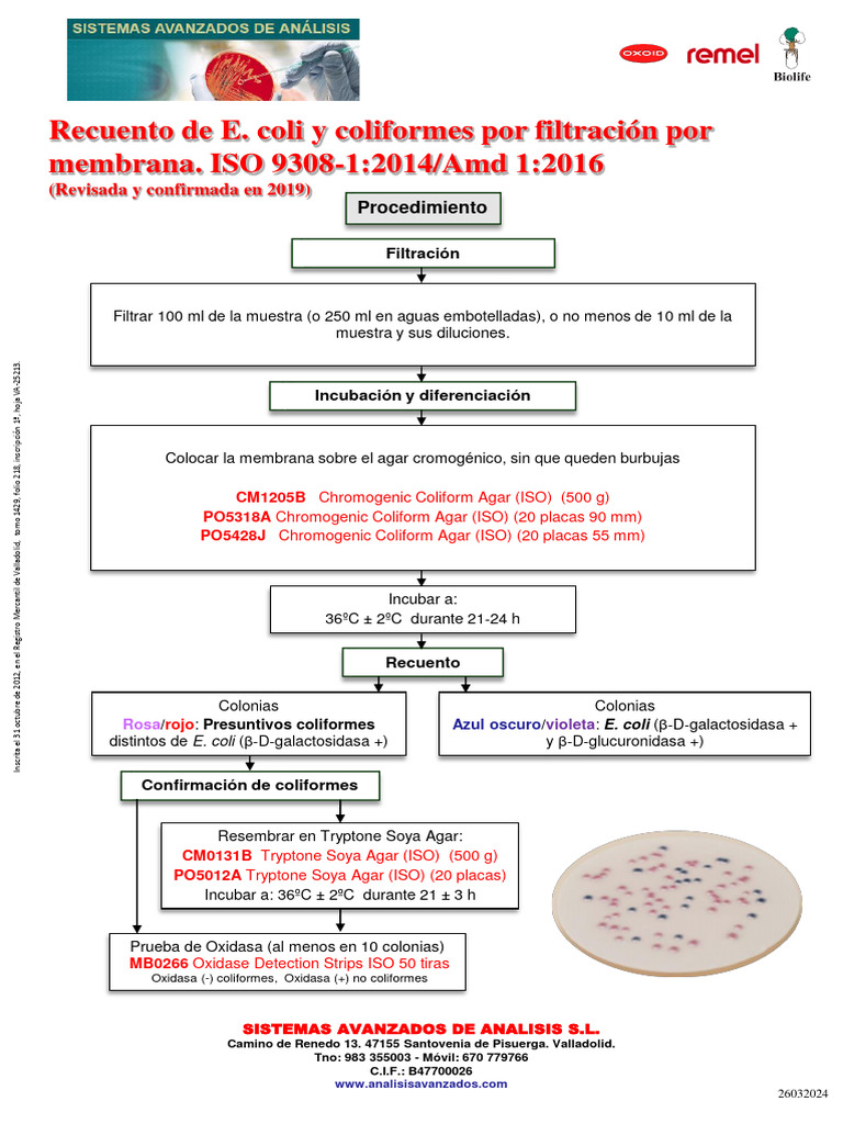 Aguas - E Coli Coliformes UNE-EN ISO 9308-1-2014 | PDF | Microorganismo ...