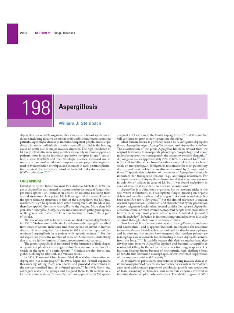 ASPERGILOSIS | PDF | Aspergillus | Clinical Medicine