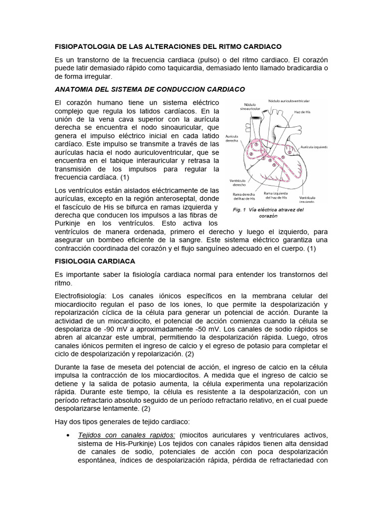 Fisiopatologia de Las Alteraciones Del Ritmo Cardiaco | Descargar ...