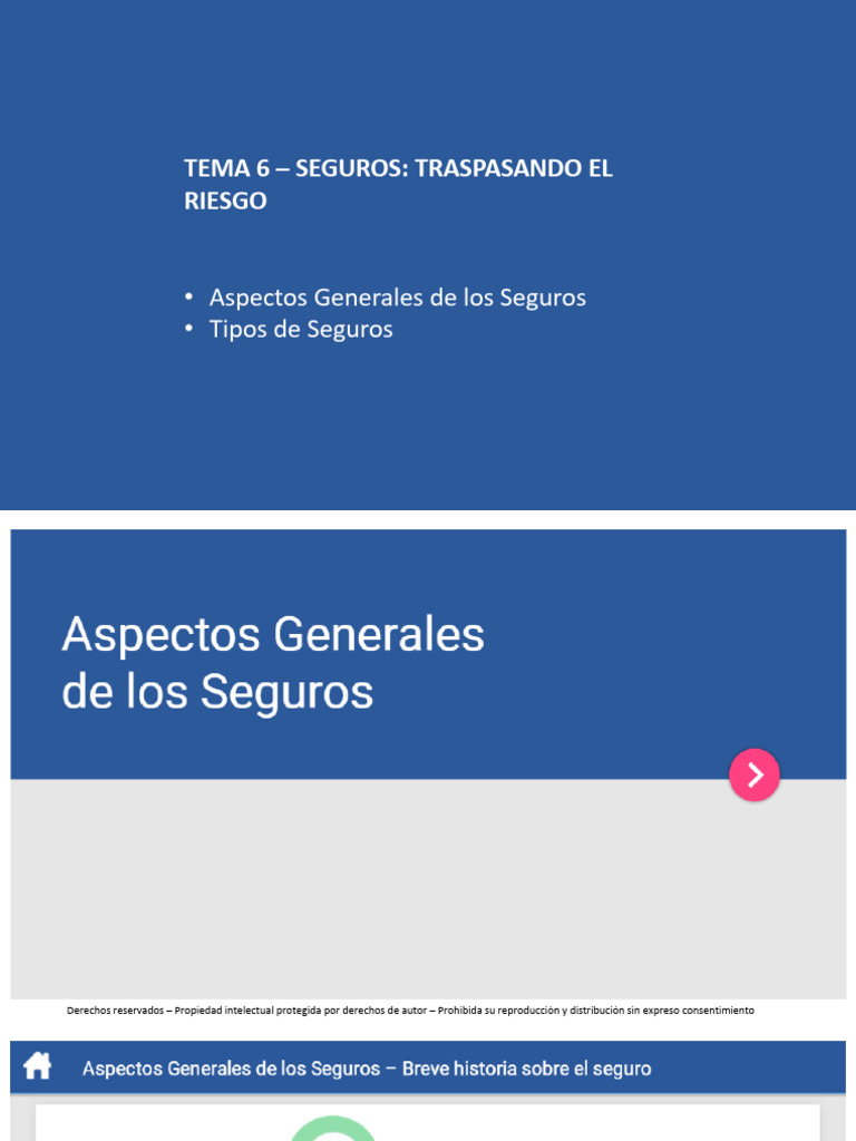 Tipos de Seguros y Riesgos Asociados | PDF | Propiedad intelectual ...
