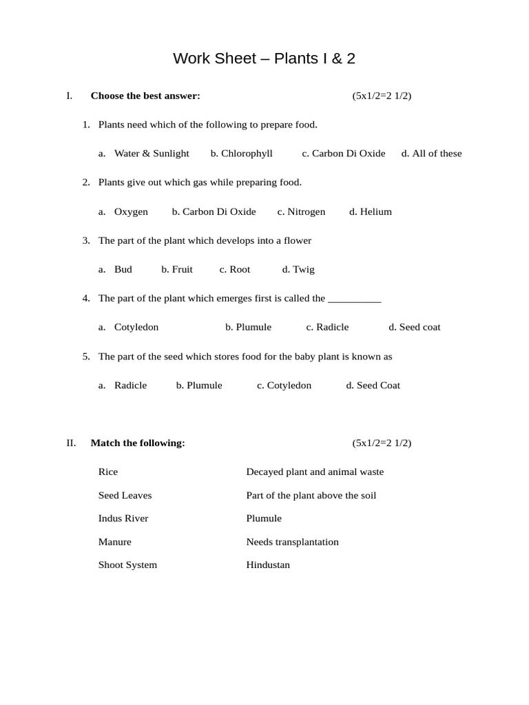 Plants Worksheet: Quiz & Activities | PDF | Seedling | Plants