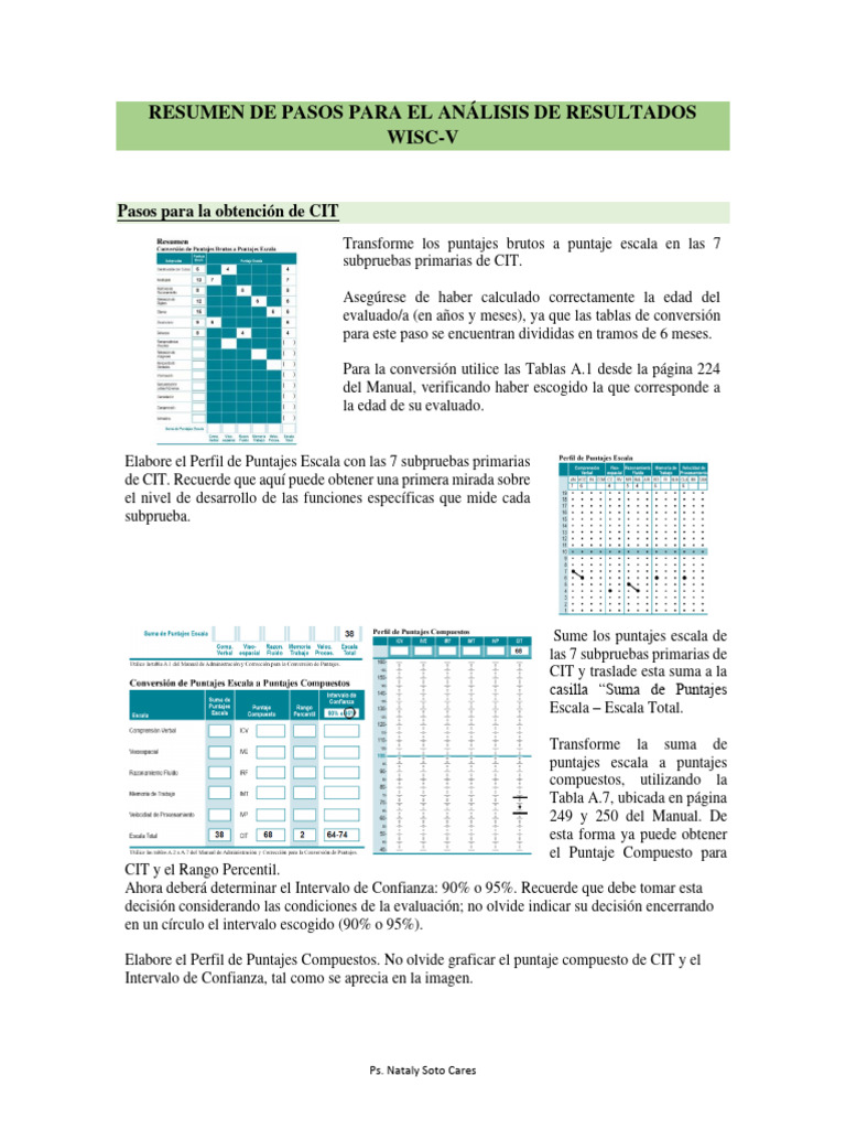 RESUMEN DE PASOS PARA EL AN LISIS DE RESULTADOS WISC | PDF