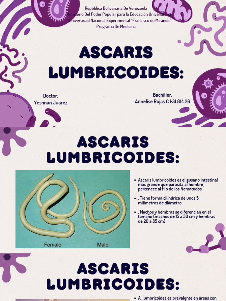 Ascaris lumbricoides: Transmisión y Tratamiento | PDF | Medicina ...