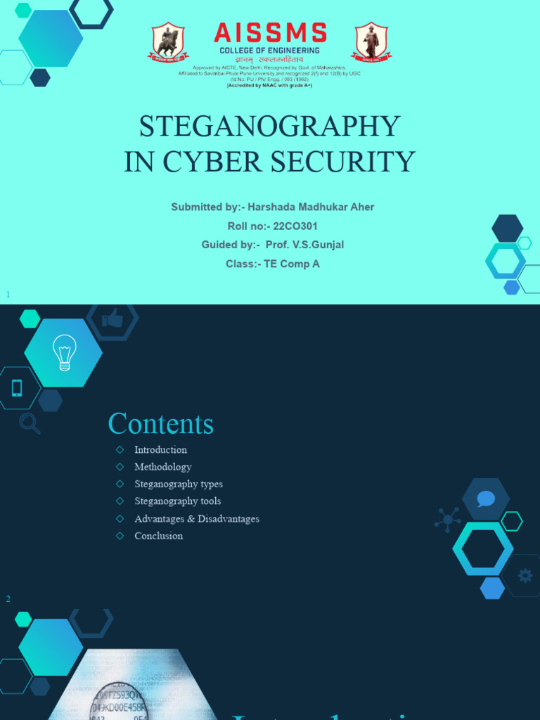 Stegnography | PDF | Secure Communication | Cryptography