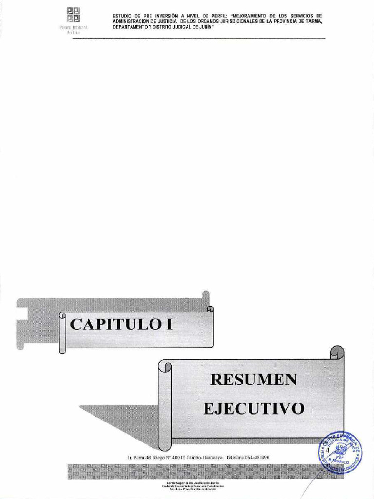 RESUMEN EJECUTIVO | PDF