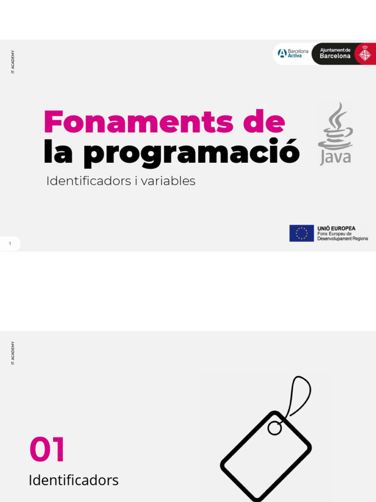 M2 Identificadores Y Variables Pdf