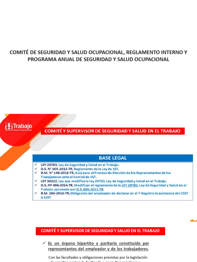 Comite de Seguridad,,reglamento Interno y Programa Anual de Salud Ocupacional | PDF | Seguridad ...
