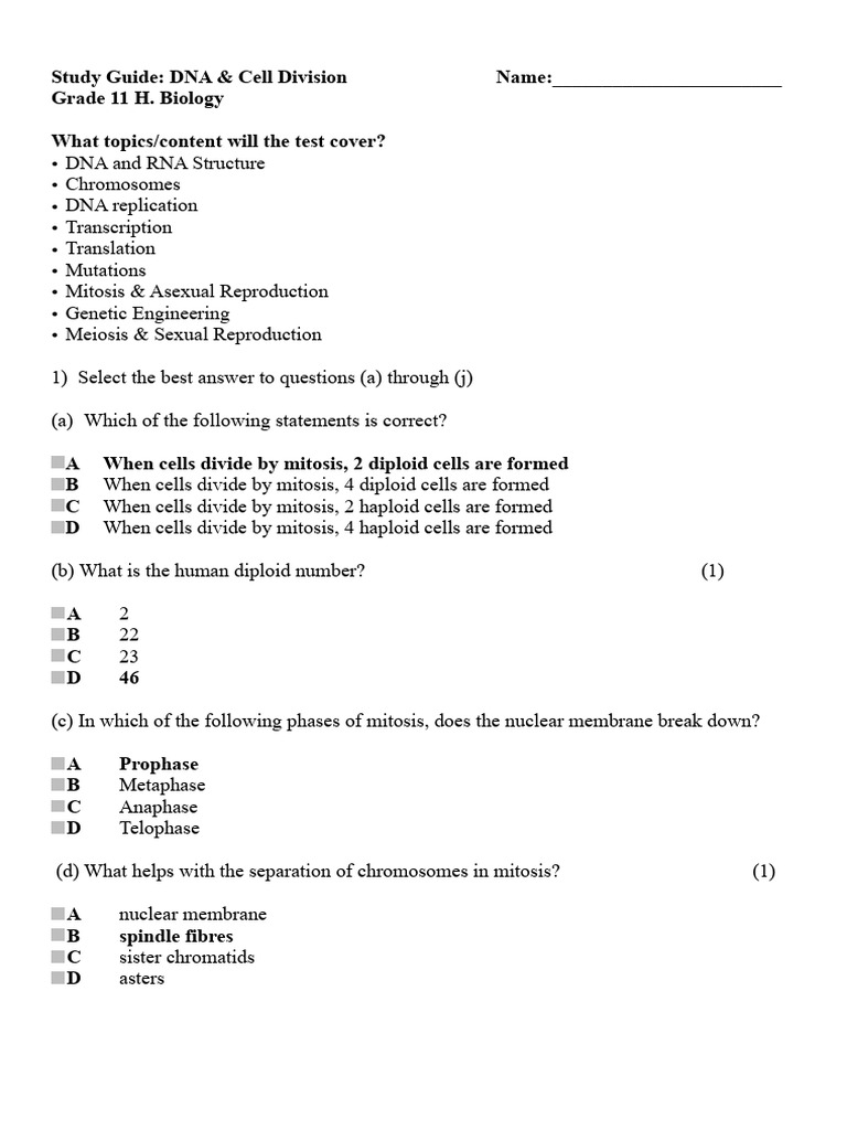 DNA and Cell Division Study Guide | PDF | Mitosis | Messenger Rna