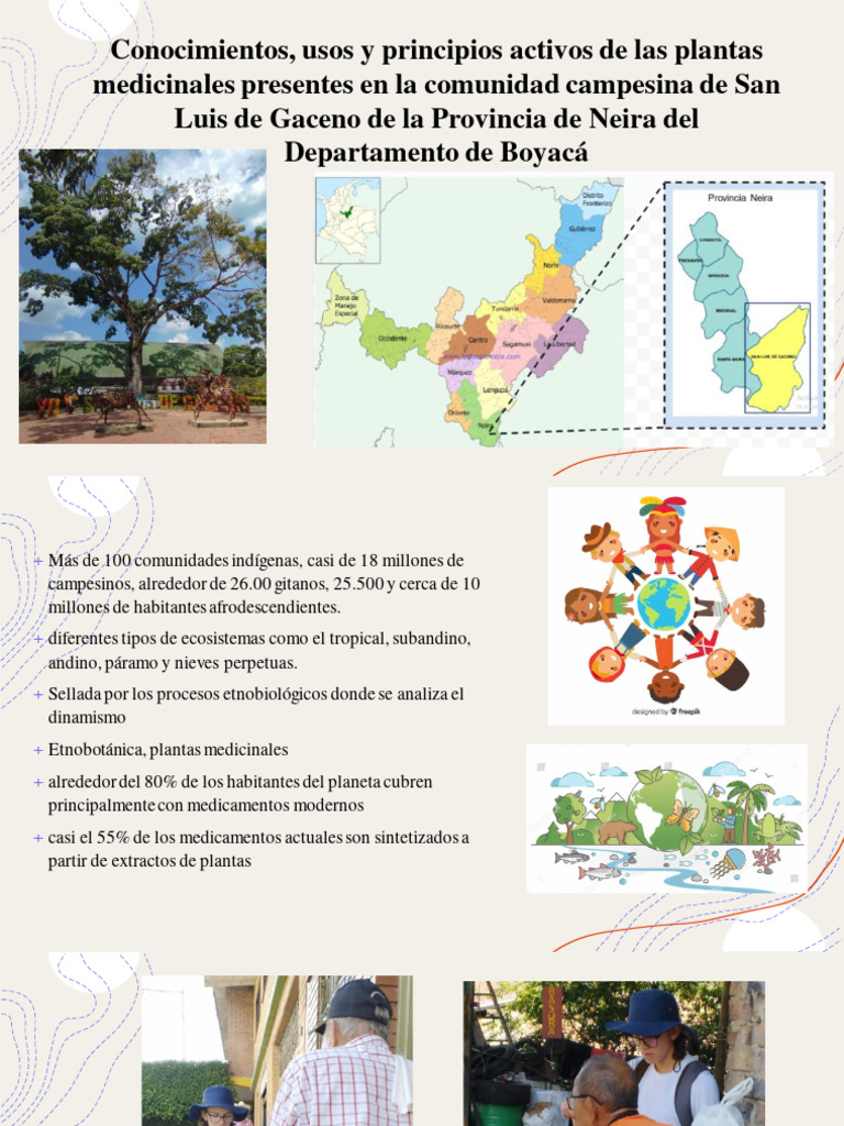 Presentación Etno | PDF