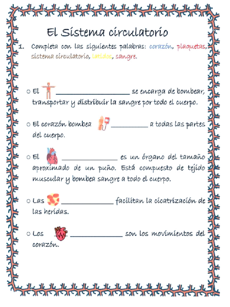 SISTEMA CIRCULATORIO | PDF